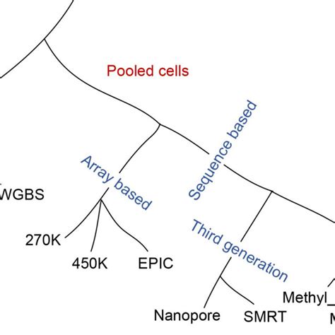 The Development Route Of The Genome Wide Profiling Techniques For Dna