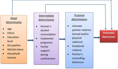 Postnatal Depression And Intimate Partner Violence A Nationwide Clinic