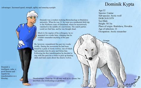 arctic werewolf ref sheet by dragondodo on deviantart