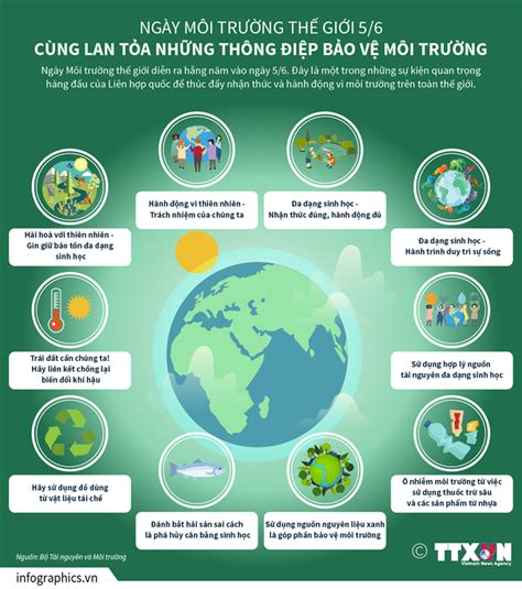 Lý Thuyết Bài 12 Chính Sách Tài Nguyên Và Bảo Vệ Môi Trường Giáo