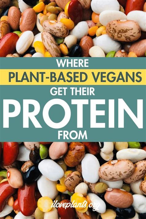25 Totally Awesome Sources Of Plant Based Protein Plant Based Vegan