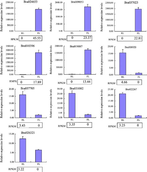 Rt Qpcr Validation Of The Rna Seq Based Gene Expression The Values