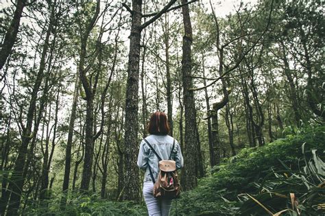 무료 이미지 숲 황야 보행 사람 여자 꼬리 가을 모험 배낭 휴양 환경 밀림 옥외 열대 우림 방랑벽