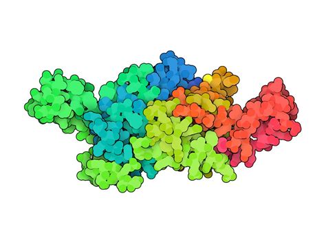 Molecular Blobs On Twitter 6l4m Crystal Structure Of Vicilin From