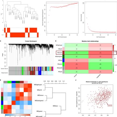 Weighted Gene Co Expression Network Construction And Identification Of