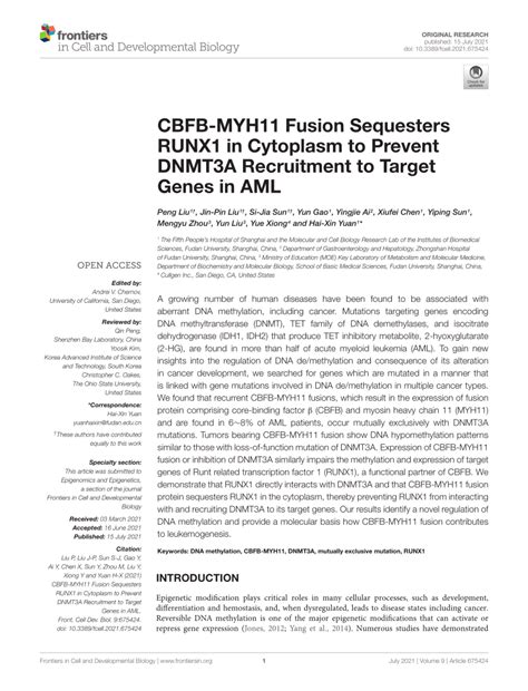 Pdf Cbfb Myh11 Fusion Sequesters Runx1 In Cytoplasm To Prevent Dnmt3a