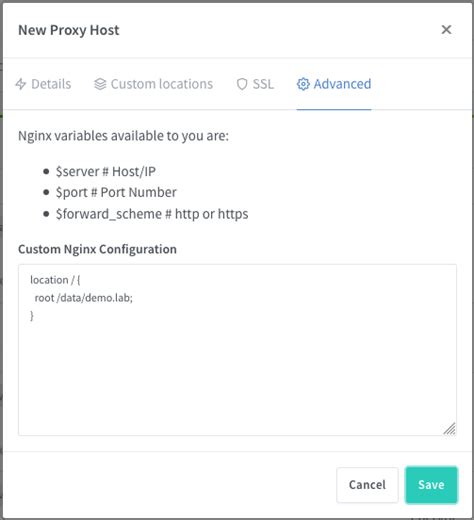 host a static site on nginx proxy manager npm dimensionquest