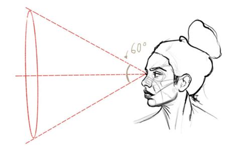 Aprender A Dibujar Retratos Realistas Paso A Paso 30 Hrs