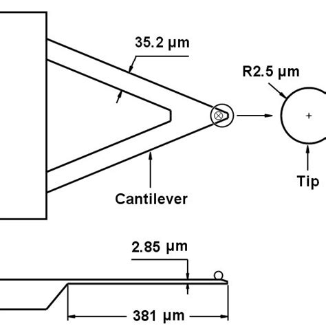 Schematic Of A The Sharp Conical Afm Tip And B The Spherical Afm