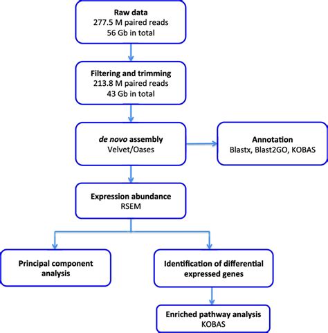 the workflow of python rna seq data analysis the diagram