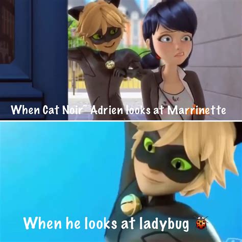 Pin On Miraculous
