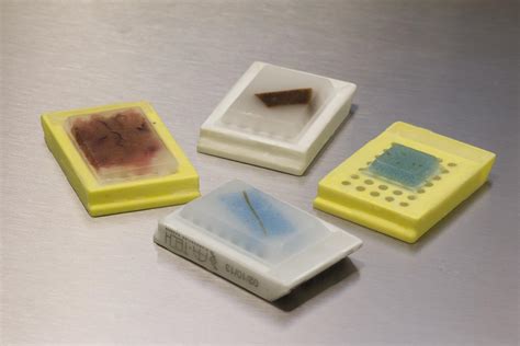 What Is Ffpe Tissue And What Are Its Uses Biochain Institute Inc