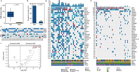 Genomic Landscape Of Crc Tissue Samples A Tumor Mutation Burden