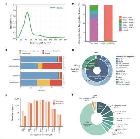 Summary Of The Sequencing Results A Genome Size Estimation With