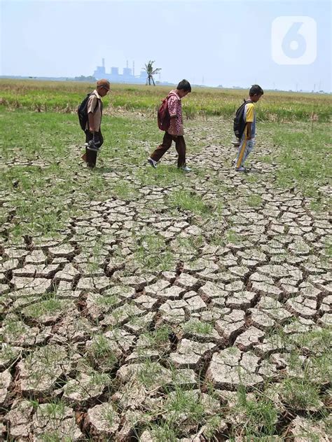 Bmkg Imbau Warga Bengkulu Waspada Perubahan Cuaca Akibat Dampak El Nino