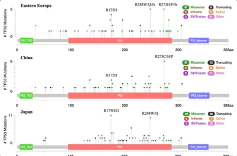 Localization Of Tp53 Mutations In Gc Samples From Eastern Europe