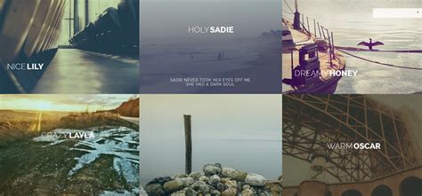 embellish your gallery list with free css and js image hover effects