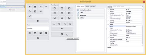 quick runtime customization winforms controls devexpress help