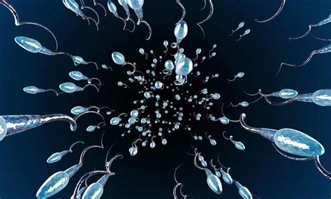 Seis Alimentos Para Mejorar La Calidad Del Semen