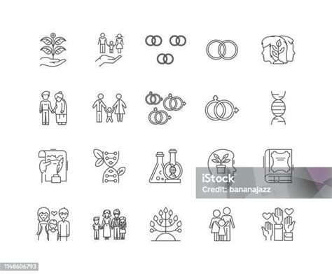 Ikon Garis Silsilah Tanda Set Vektor Konsep Ilustrasi Kerangka