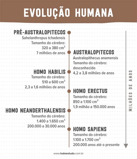 Evolução Humana Segundo A Teoria Os Seres Humanos Vieram Do Macaco