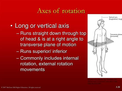 Ppt Chapter 1 Foundations Of Structural Kinesiology Powerpoint