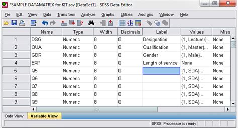 Variable View Of Spss Download Scientific Diagram