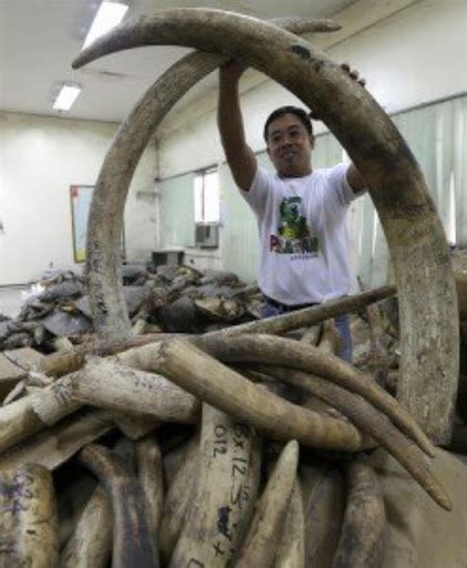 man caught trying to smuggle ivory python skin into sa