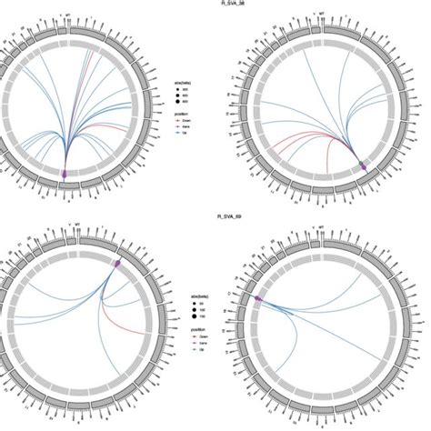 Circos Plots Showing The Targets And Effects For Four Different Svas