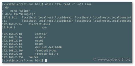 Bash While Read Line