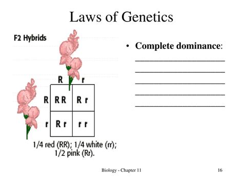 Genetics Gregor Mendel “ ” Ppt Download