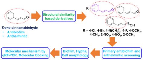 Frontiers Appraisal Of Cinnamaldehyde Analogs As Dual Acting