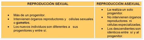 Cuadros Comparativos Entre Reproducción Sexual Y Asexual Cuadro