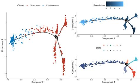 拟时序分析就是差异分析的细节剖析 生信菜鸟团