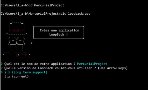 node js creating a new loopback project fails stack overflow