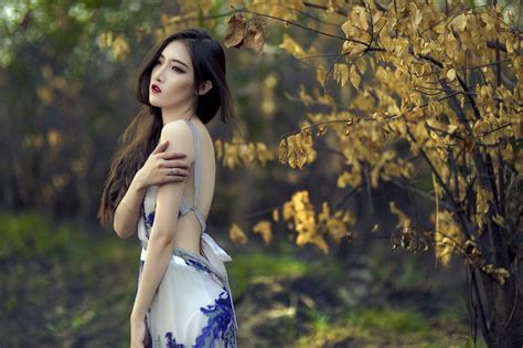 Hình Nền Ánh Sáng Mặt Trời Rừng Phụ Nữ ở Ngoài Trời đàn Bà Mô