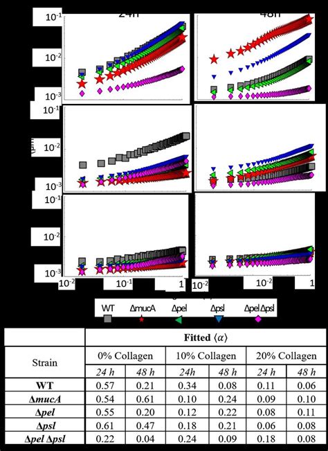 Ensemble Mean Squared Displacement As A Function Of Lag Time For All Wt