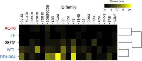 Heatmap With Hierarchical Clustering Showing The Insertion Sequence