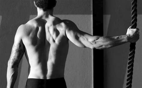 Ejercicios De Crossfit Para Principiantes ⇒ 【↓vídeos↓】
