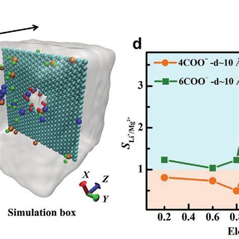 A 4coo − Nanopores And B 6coo − Nanopores With Different Static Pore