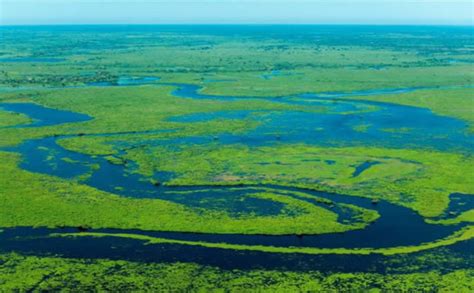 A Maior Planície Inundável Do Planeta O Pantanal Era Uma Vez Brasil