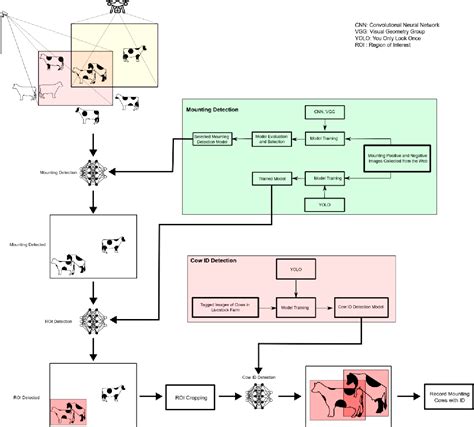 Figure 1 From Estrus Detection And Dairy Cow Identification With