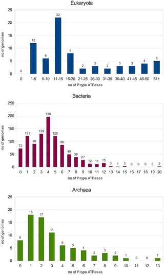 large scale identification and categorization of protein sequences
