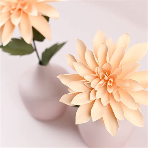 Make Your Own Paper Dahlia Flowers Craft Kit By Suzi Mclaughlin