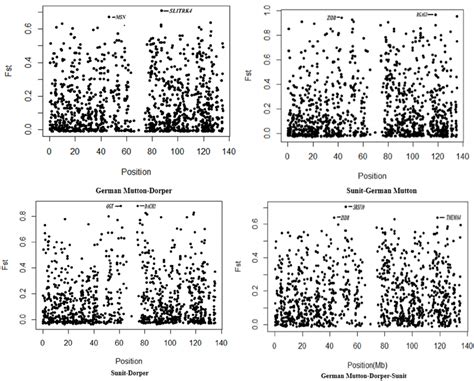 The X Chromosome Distribution Of F St Values Download Scientific Diagram