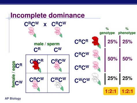 Ppt Beyond Mendels Laws Of Inheritance Powerpoint Presentation Free