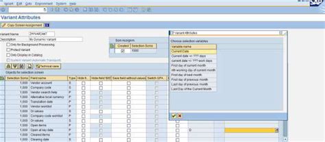how to use dynamic variables in the variants sap blogs