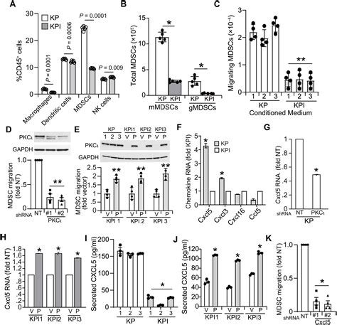 Protein Kinase Cι Mediates Immunosuppression In Lung Adenocarcinoma