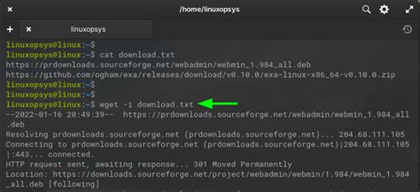 wget command in linux explained [with examples]