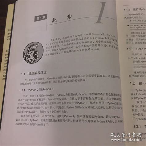 Python编程：从入门到实践 [美]埃里克·马瑟斯（eric Matthes） 著；袁国忠 译 孔夫子旧书网